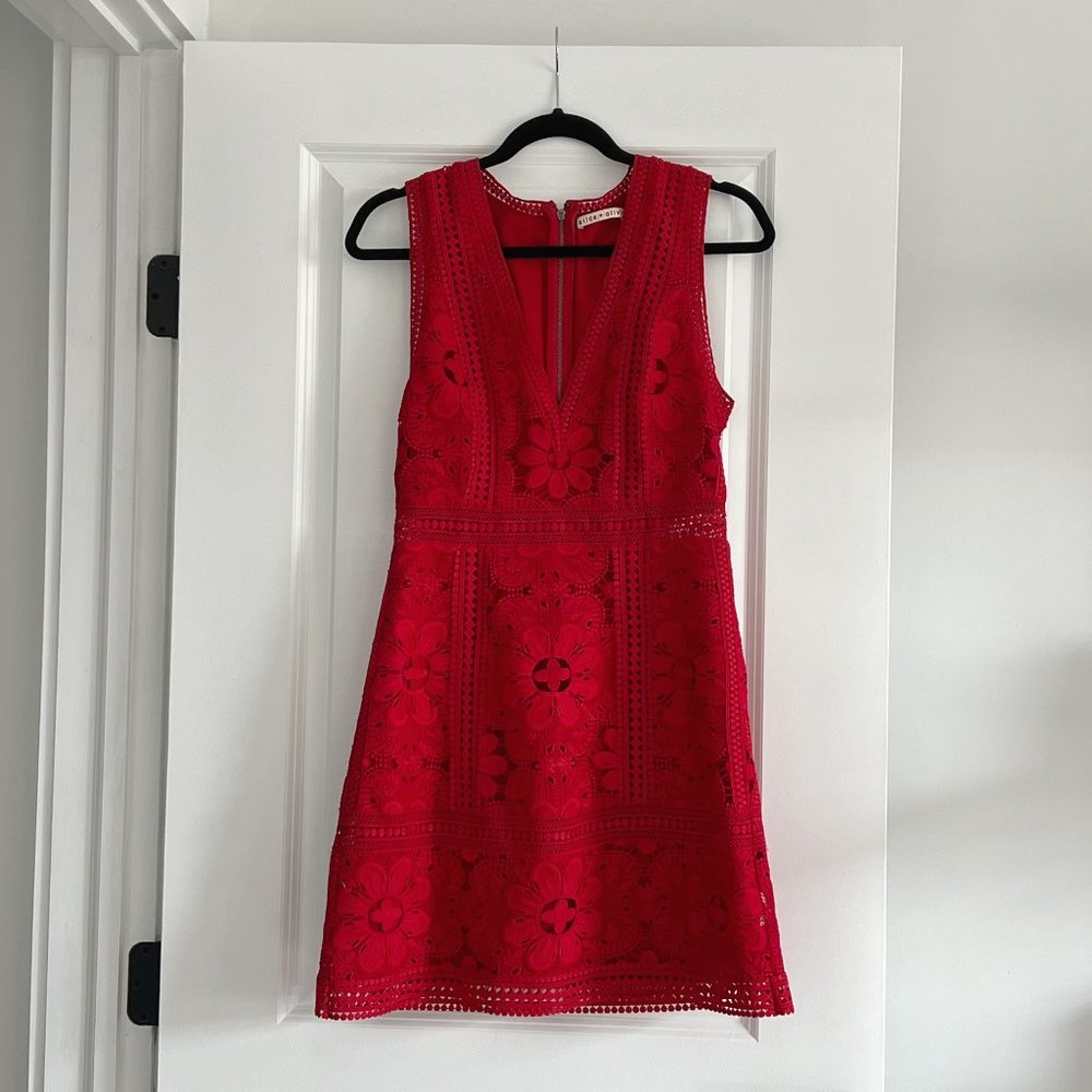 Alice & Olivia Crochet Red Dress - Gem
